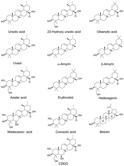 Antioxidants | Free Full-Text | Ursolic Acid and Related Analogues ...