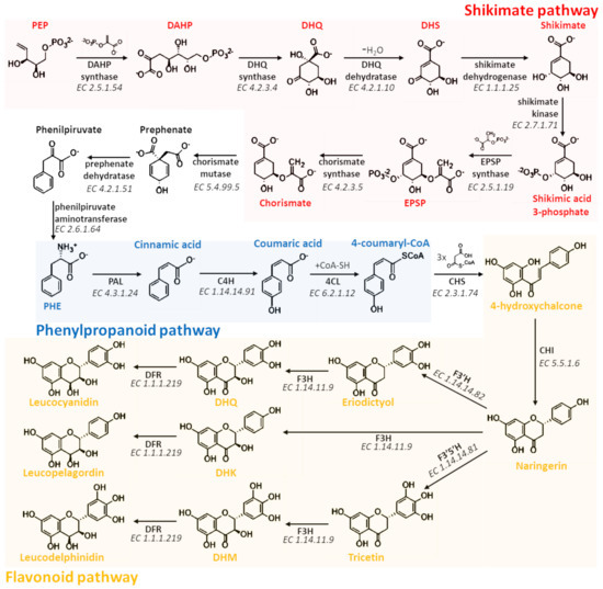 Proanthocyanidins and Where to Find Them: A Meta-Analytic Approach to ...