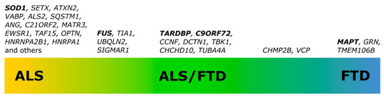 Therapeutic Potential of Polyphenols in Amyotrophic Lateral Sclerosis ...