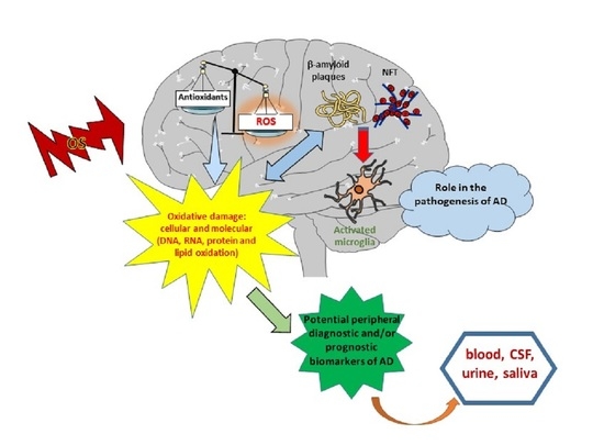 Antioxidants | Free Full-Text | Role of Oxidative Damage in Alzheimer’s ...