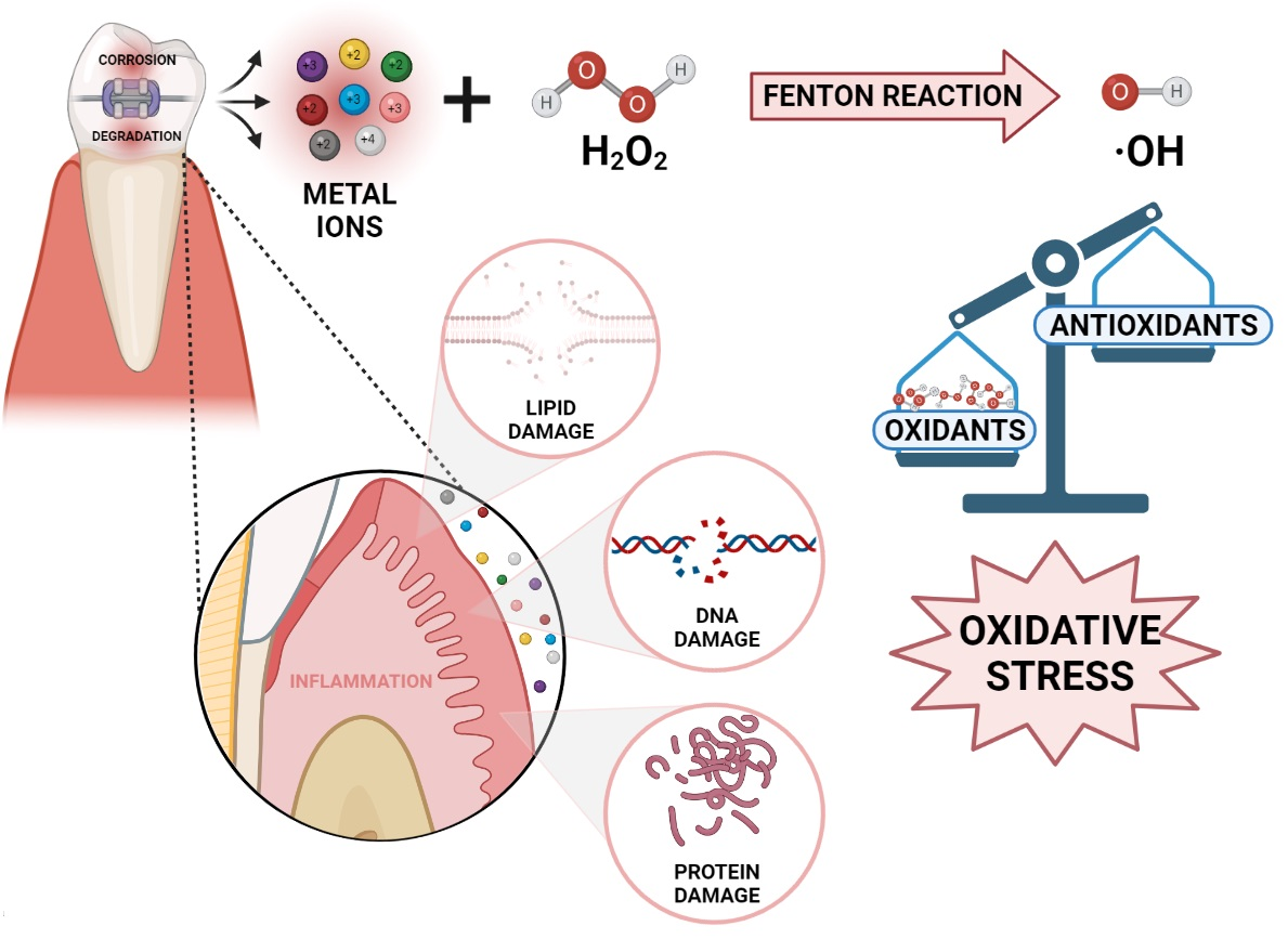 Antioxidants | Free Full-Text | Risk Assessment of Oxidative Stress ...