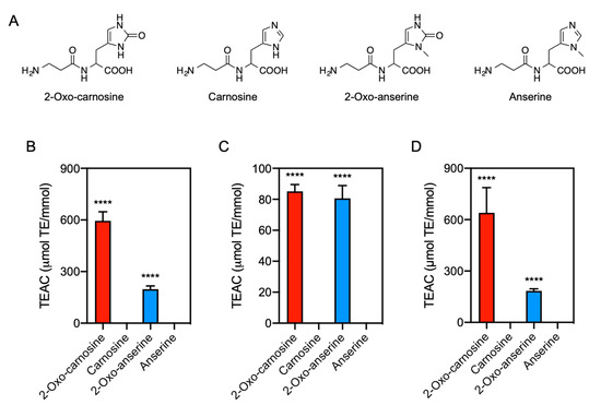 2-Oxo-Imidazole-Containing Dipeptides Play a Key Role in the ...