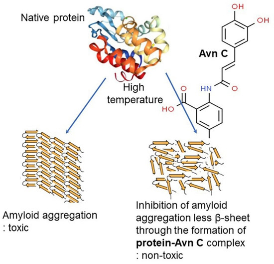 Multiple Antioxidative and Bioactive Molecules of Oats (Avena sativa L ...