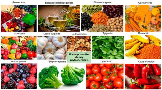 Antioxidants Free Full Text Role Of Phytochemicals In Cancer