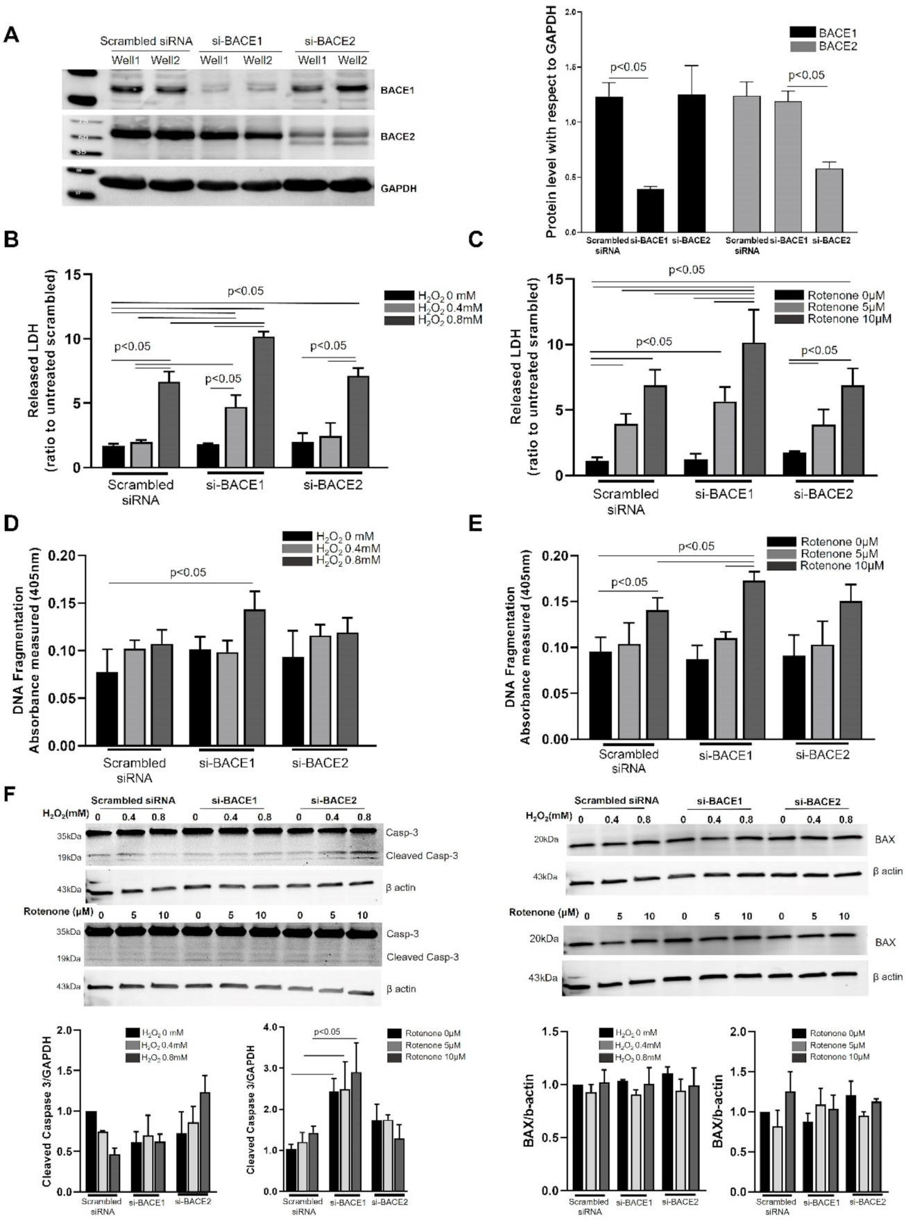 Antioxidants | Free Full-Text | BACE1 Inhibition Increases ...