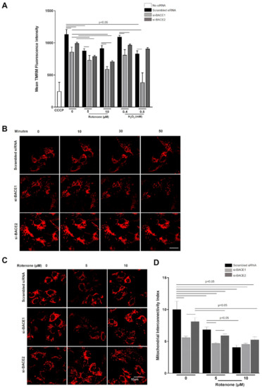 Antioxidants | Free Full-Text | BACE1 Inhibition Increases ...