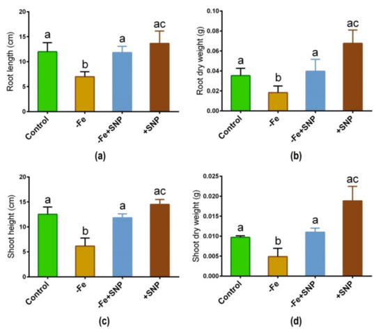 Nitric Oxide Prevents Fe Deficiency-Induced Photosynthetic Disturbance ...