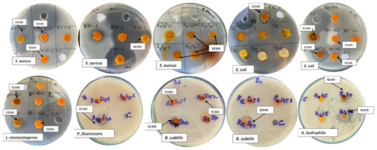 CO2 Supercritical Fluid Extraction of Oleoresins from Sea Buckthorn Pomace: Evidence of Advanced ...