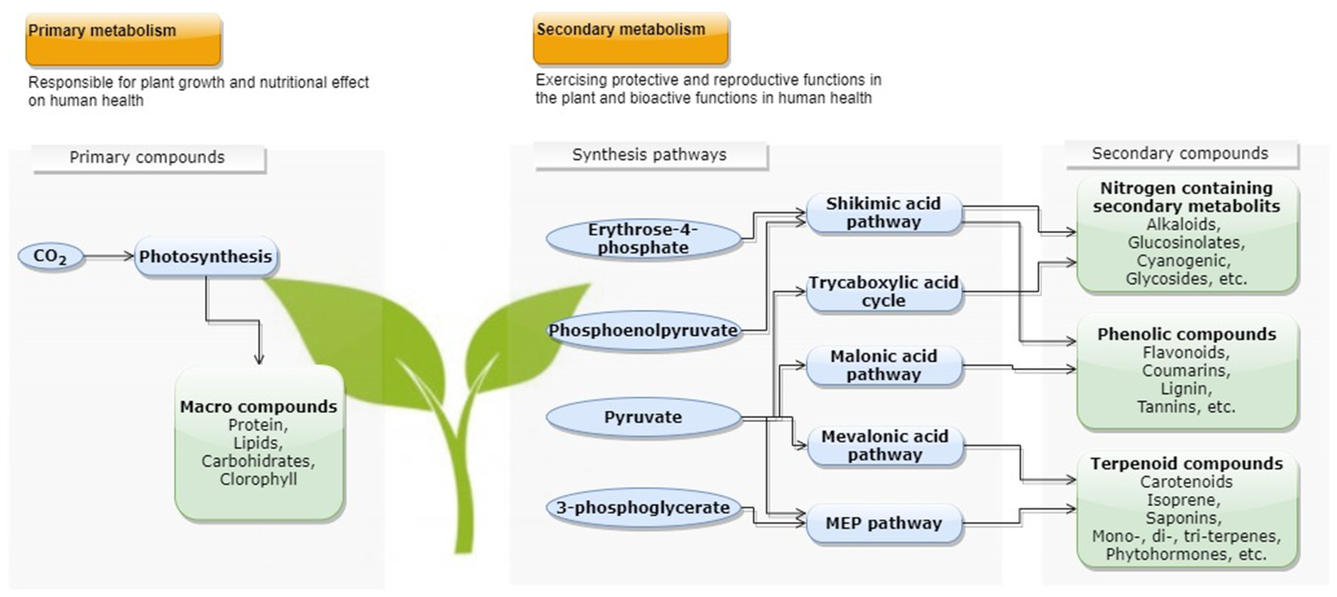 Sustainable Recovery of Preservative and Bioactive Compounds from Food ...