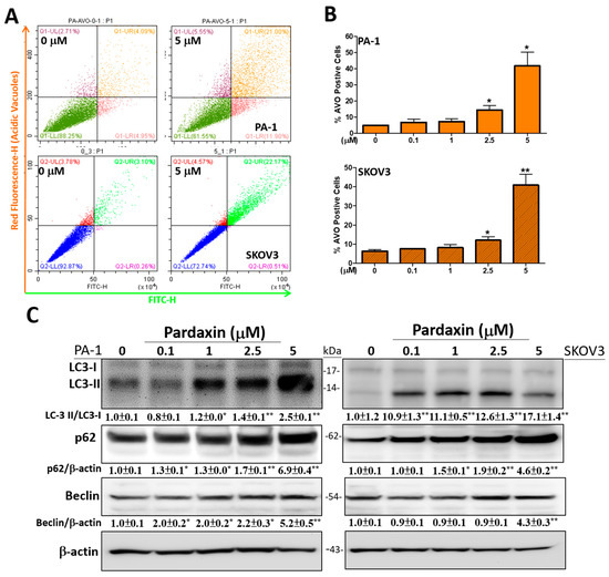 Pardaxin Activates Excessive Mitophagy and Mitochondria-Mediated ...