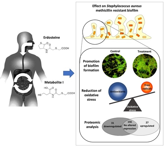 Antioxidants | Special Issue : Synergistic Antioxidant and ...