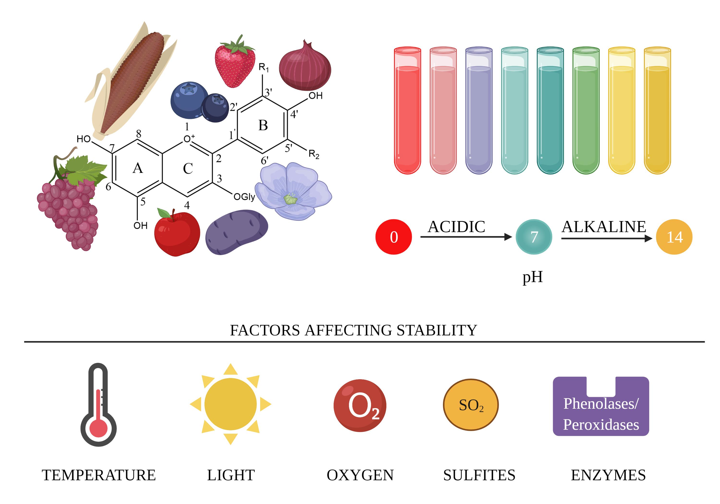 Antioxidants | Free Full-Text | Anthocyanins: Factors Affecting Their ...