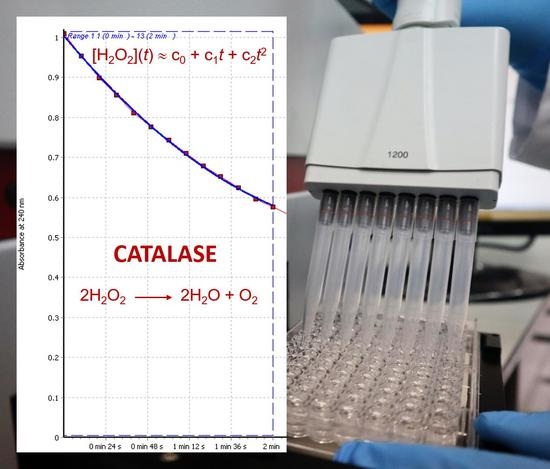 Antioxidants | Free Full-Text | Theoretical and Experimental ...