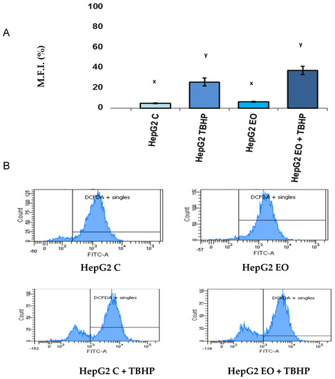 Effects of Erythrodiol on the Antioxidant Response and Proteome of ...