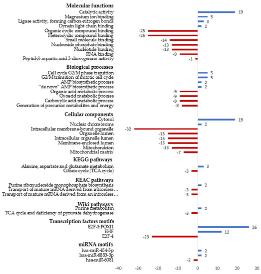 Effects of Erythrodiol on the Antioxidant Response and Proteome of ...