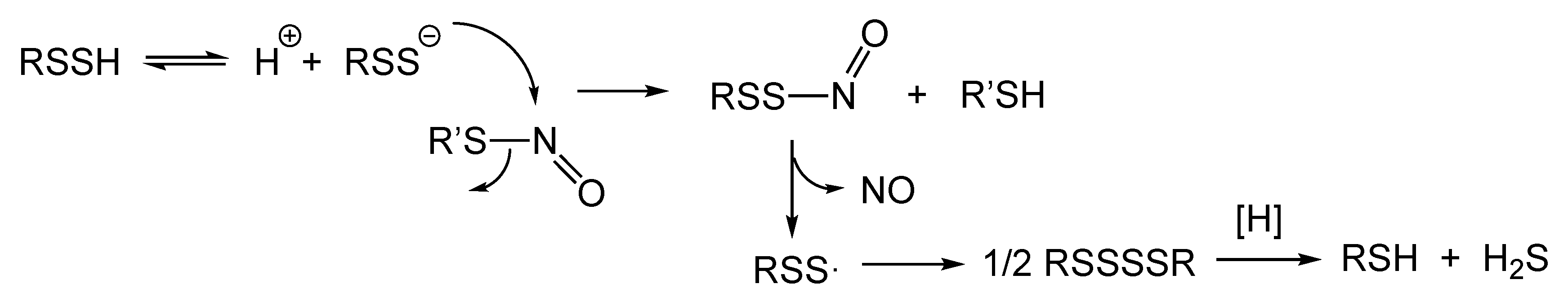 Hydropersulfides (RSSH) and Nitric Oxide (NO) Signaling: Possible ...