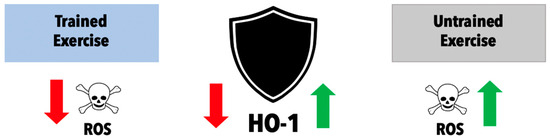 Reactive Oxygen Species (ROS) and Antioxidants as Immunomodulators in ...