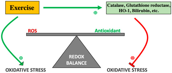 Reactive Oxygen Species (ROS) and Antioxidants as Immunomodulators in ...