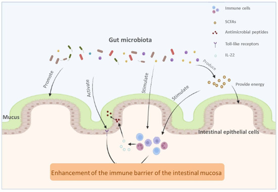 Tea Polyphenols: A Natural Antioxidant Regulates Gut Flora to Protect ...