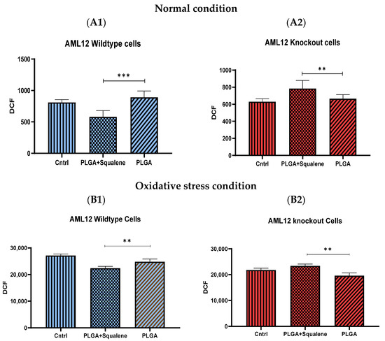 Squalene Loaded Nanoparticles Effectively Protect Hepatic AML12 Cell ...