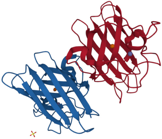 SOD1 in ALS: Taking Stock in Pathogenic Mechanisms and the Role of ...