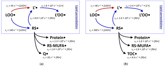 Probing the Role of Cysteine Thiyl Radicals in Biology: Eminently ...
