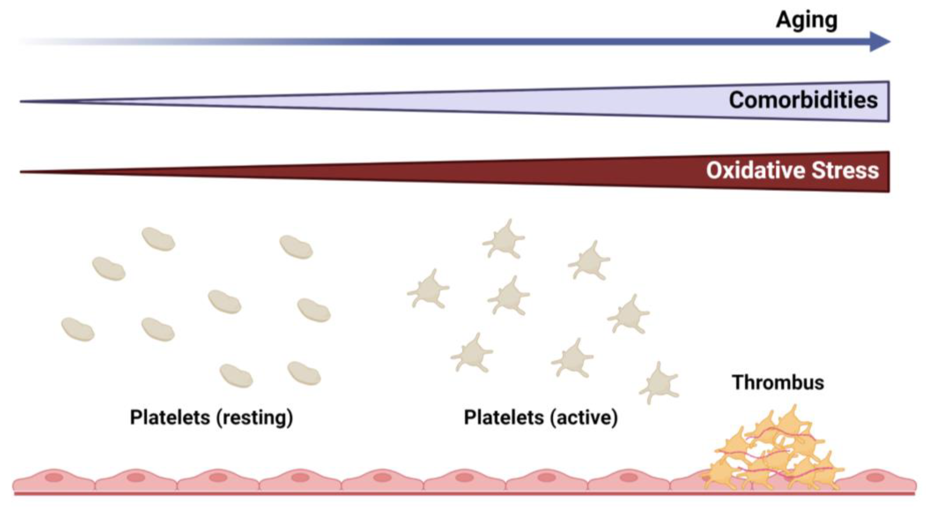 Redox Mechanisms of Platelet Activation in Aging