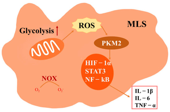 The Role of Reactive Oxygen Species in the Rheumatoid Arthritis ...