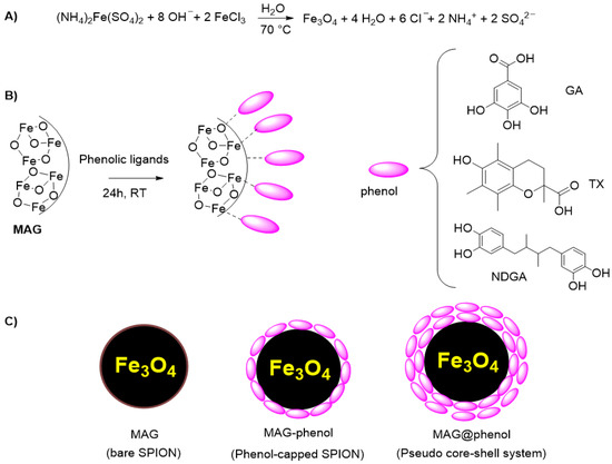 Chain-Breaking Antioxidant and Peroxyl Radical Trapping Activity of ...