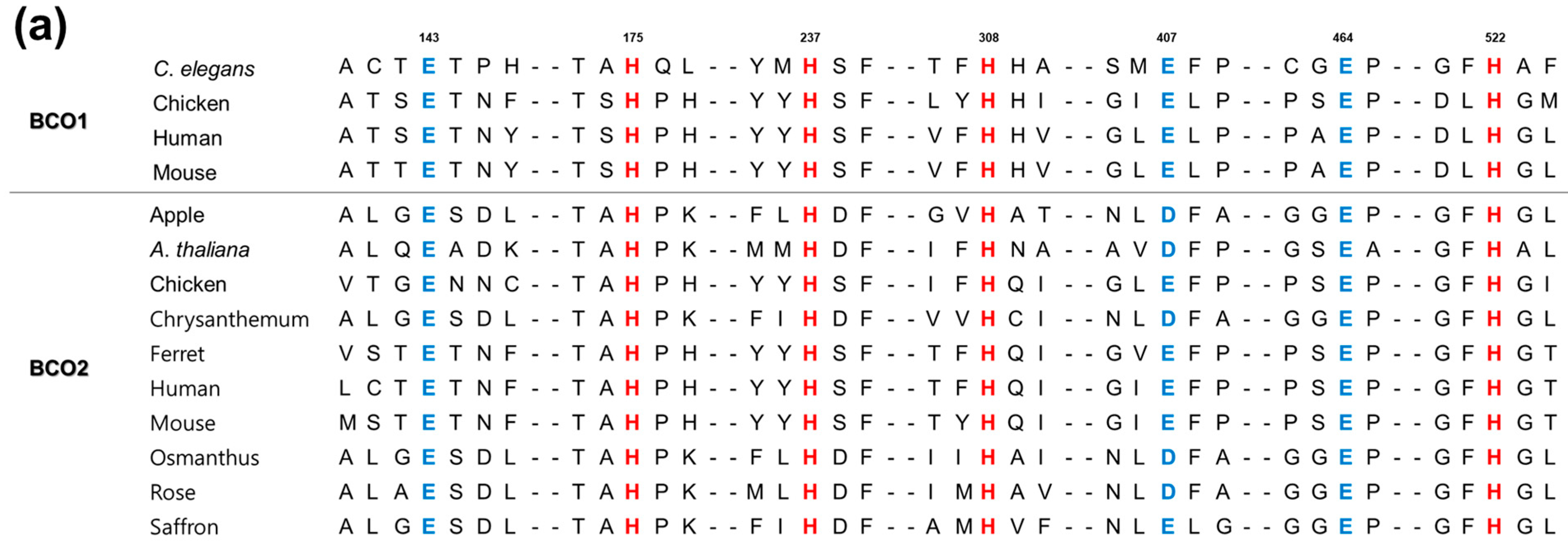 Molecular Properties of β-Carotene Oxygenases and Their Potential in ...