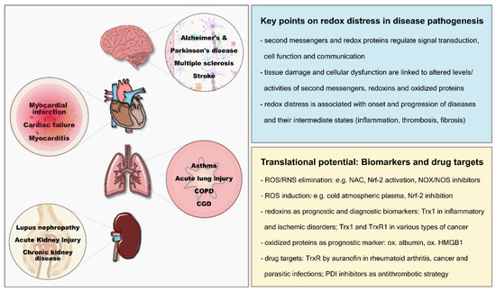 Antioxidants | Free Full-Text | Changing Perspectives from Oxidative ...