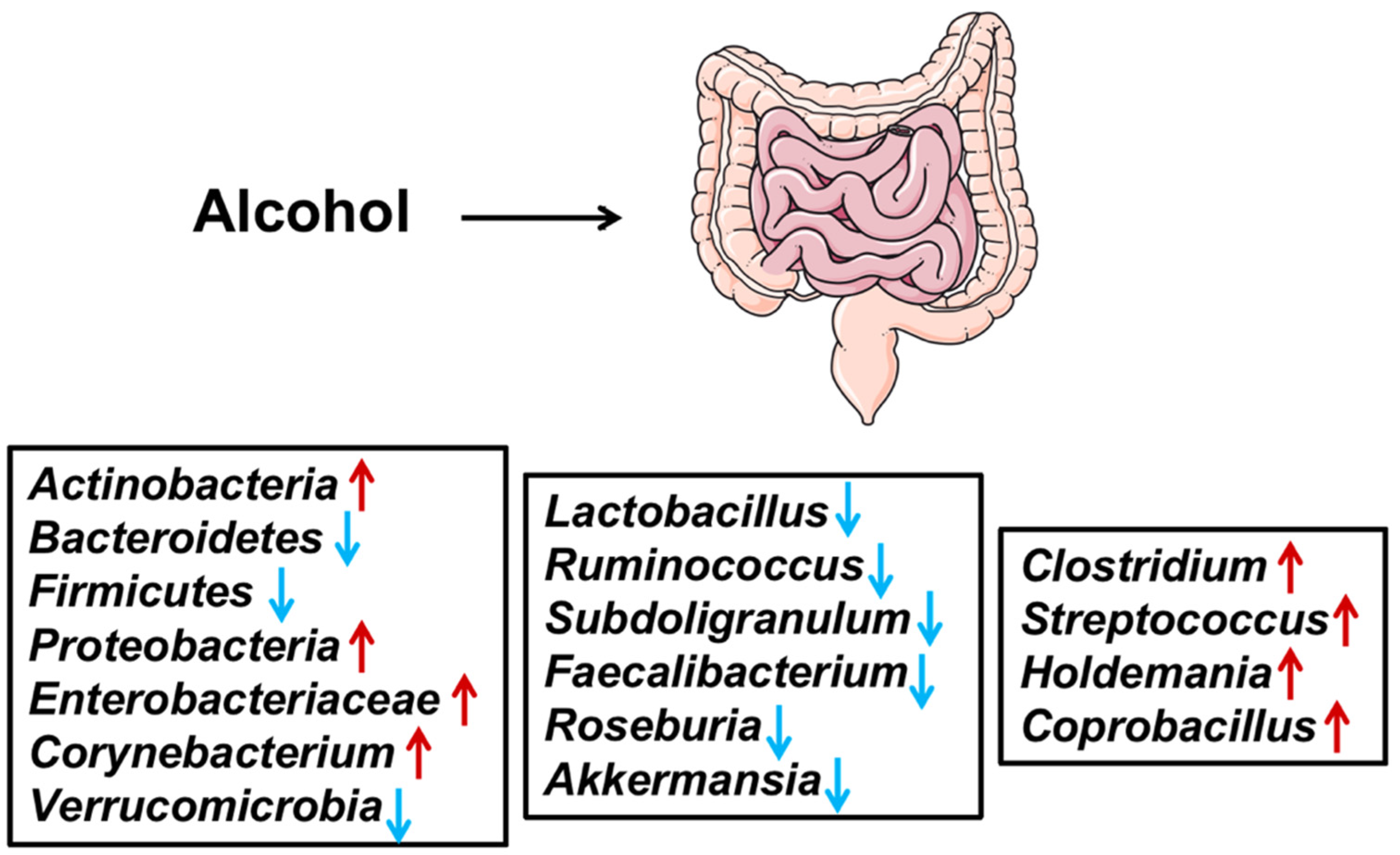 The Beneficial Effects of Natural Extracts and Bioactive Compounds on ...