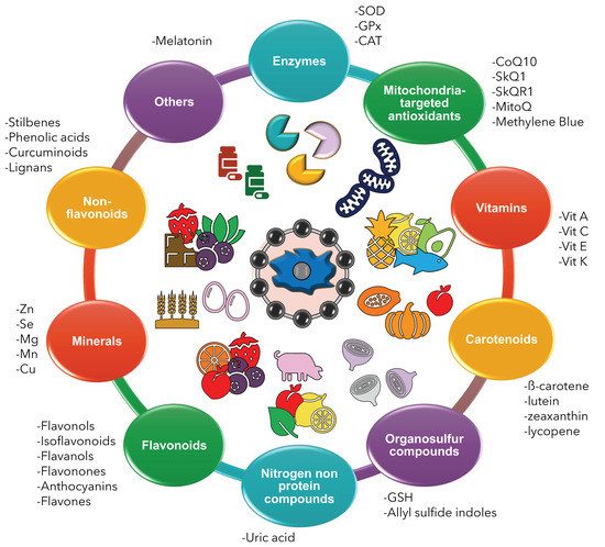 The Role of Antioxidants in the Interplay between Oxidative Stress and ...