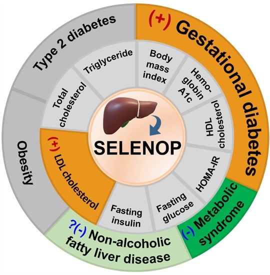 Antioxidants | Free Full-Text | Associations between Circulating ...