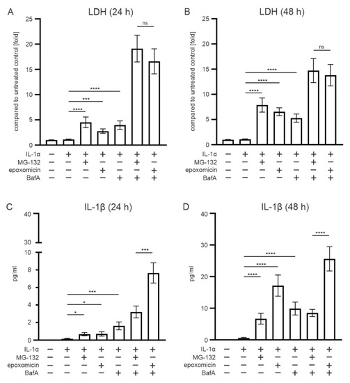 Epoxomicin, a Selective Proteasome Inhibitor, Activates AIM2 ...