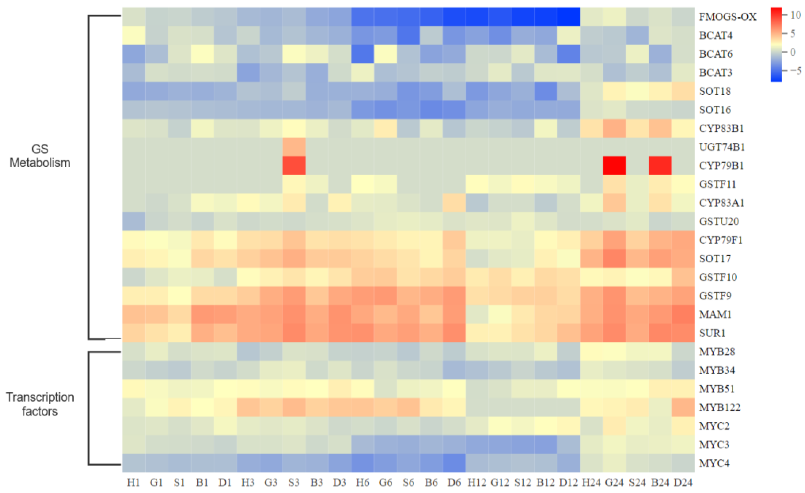 Antioxidants Free Full Text Transcriptome Analysis Of Glutathione