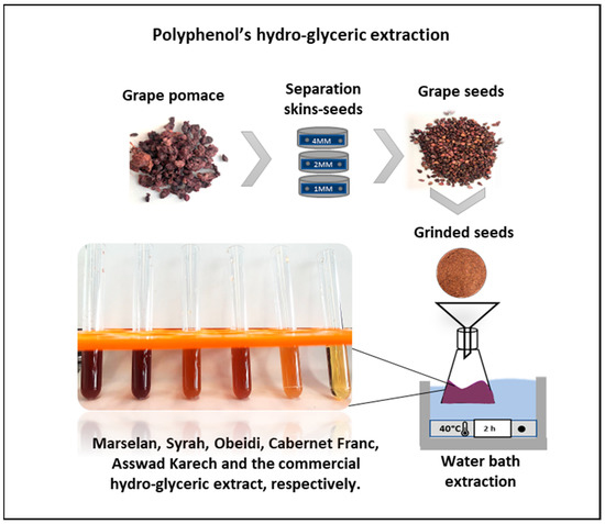 Stability and Antioxidant Activity of Hydro-Glyceric Extracts Obtained ...
