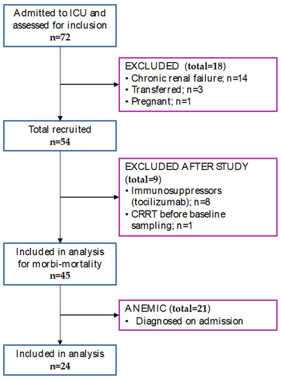 Hyperferritinemia, Low Circulating Iron and Elevated Hepcidin May ...