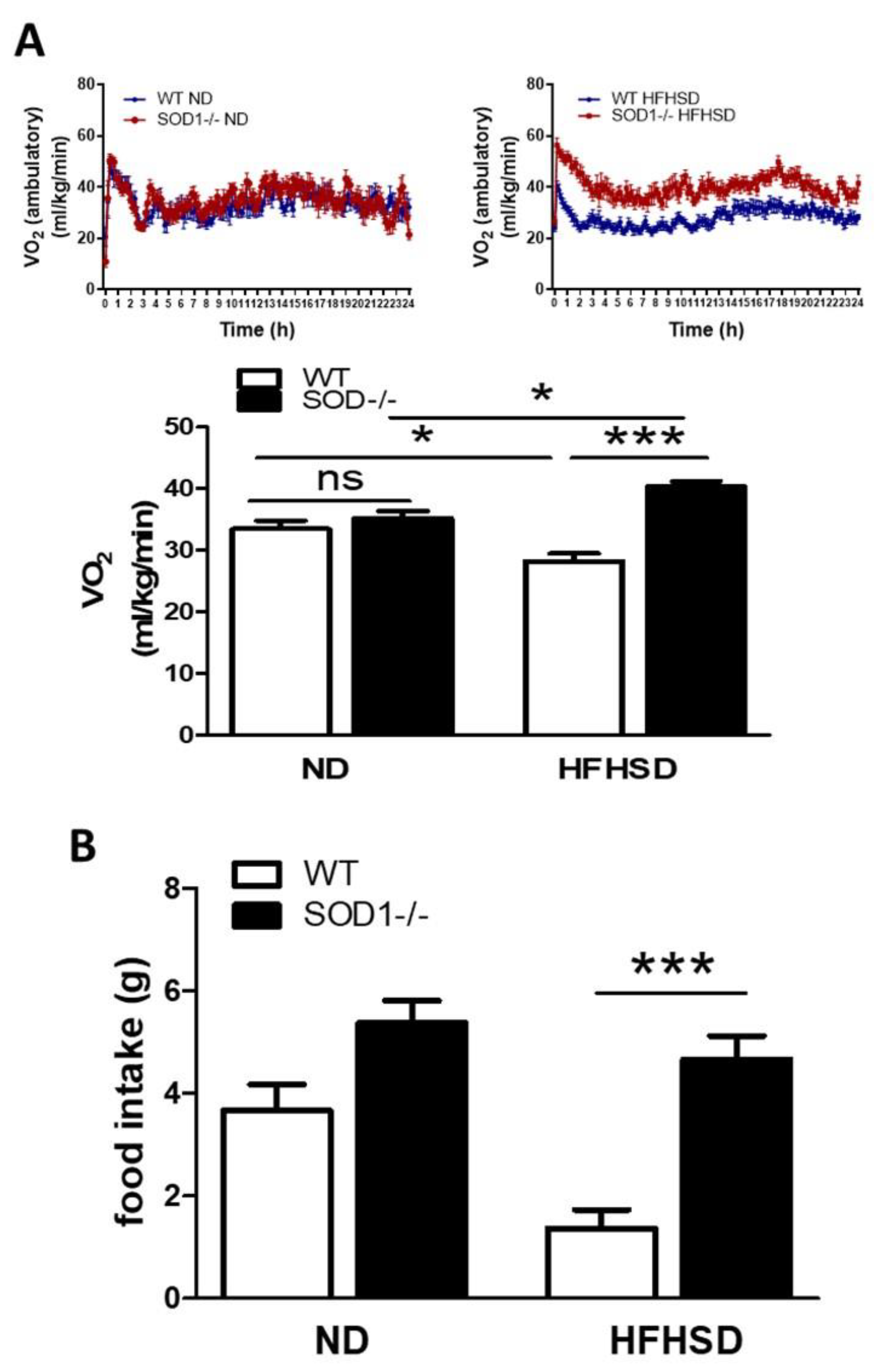Resistance to Obesity in SOD1 Deficient Mice with a High-Fat/High-Sucrose Diet