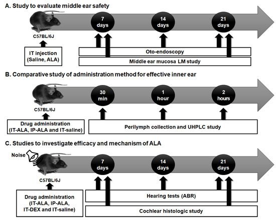 Safety and Efficacy of Intratympanic Alpha-Lipoic Acid Injection in a ...