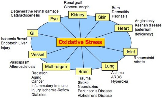 Antioxidants | An Open Access Journal from MDPI