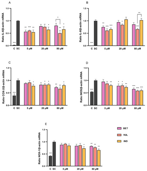 Uptake and Immunomodulatory Properties of Betanin, Vulgaxanthin I and ...