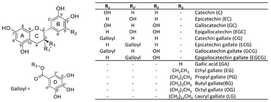 Structural Elucidation of Novel Stable and Reactive Metabolites of ...
