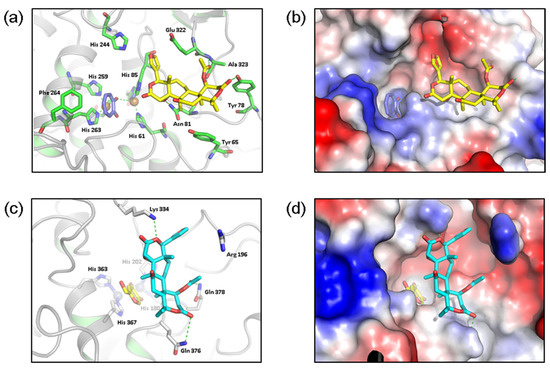 Nomilin from Yuzu Seed Has In Vitro Antioxidant Activity and ...