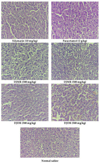 Dryopteris juxtapostia Root and Shoot: Determination of Phytochemicals ...