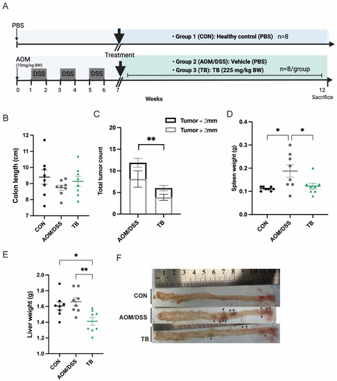 Theabrownin Alleviates Colorectal Tumorigenesis in Murine AOM/DSS Model ...