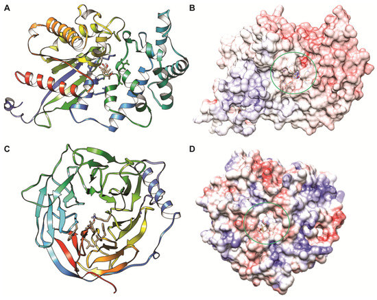 Novel Insights into Understanding the Molecular Dialogues between ...