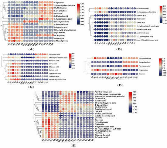 Antioxidants | Free Full-Text | Antifungal Peptide P852 Controls Fusarium Wilt in Faba Bean ...