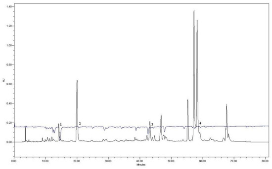 Antioxidants | Free Full-Text | Balsam Poplar Buds: Extraction of ...