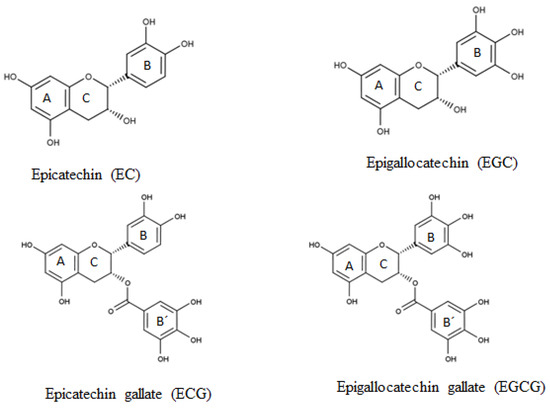 Antioxidants | Free Full-Text | The Catechins Profile of Green Tea ...